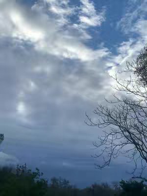 @therealrebeccaj | Fanbase | Videos, Audio, Live Streams and More!