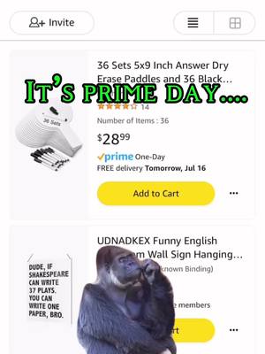 @itscalypsobitch | Fanbase | Videos, Audio, Live Streams and More!